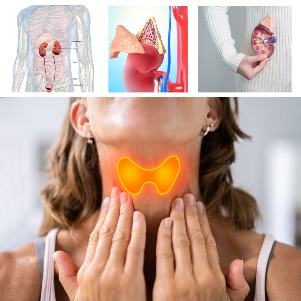 "How a Comprehensive Dental Clinic Prevents Future Dental Issues"