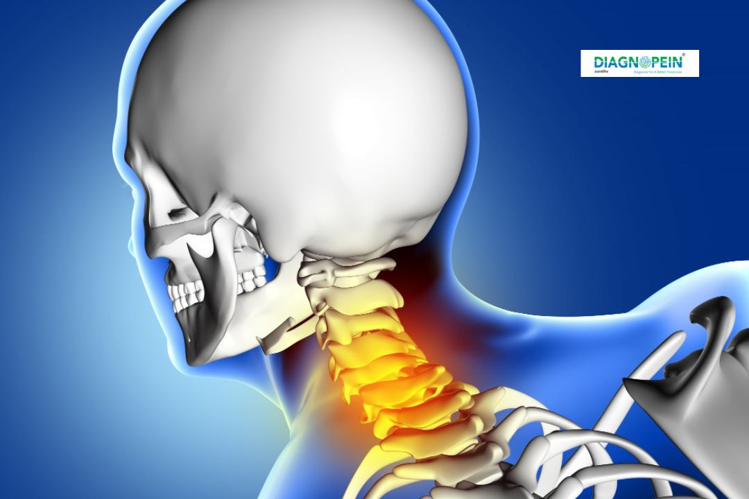 CT Mandible with 3D – Jaw Bone CT Scan for Accurate Diagnosis