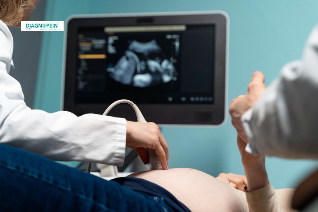 USG MSK Scan – Musculoskeletal Ultrasound Test Overview, Benefits ...